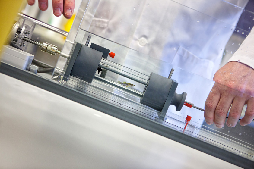 Swim tunnels by Loligo Systems